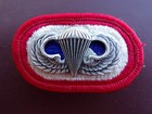 1st COSCOM Airborne Logistical Command Jump Wing Oval Patch Badge Pin ...