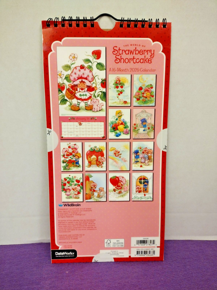 Strawberry Shortcake 2026 Calendar NEW Mini Poster 13 Seasonal Prints ...