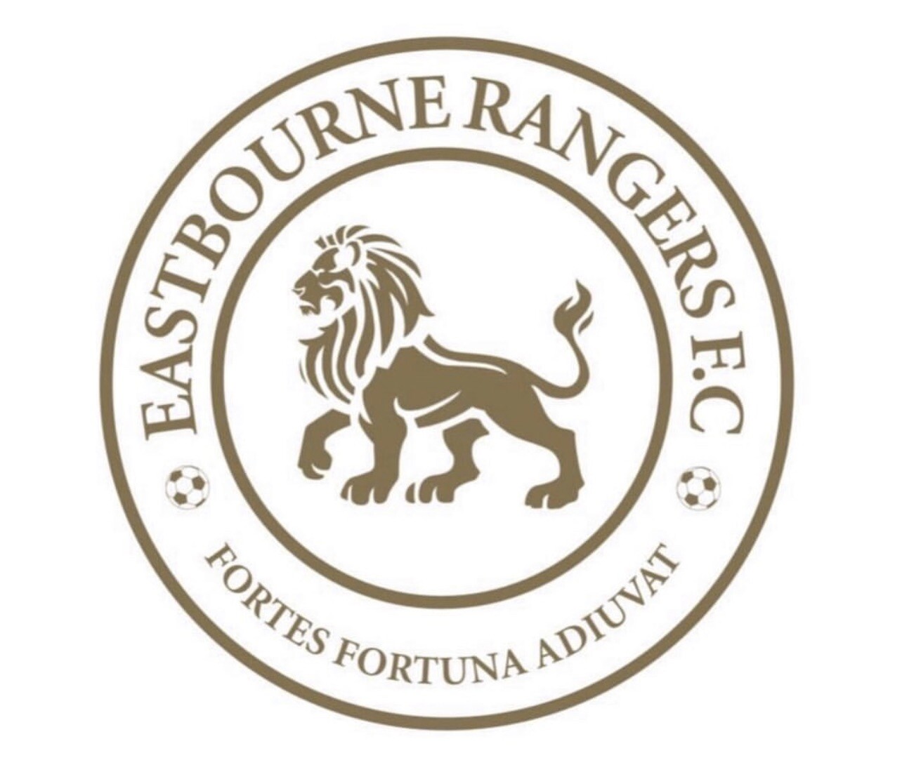 Eastbourne Rangers FC Non-League football pin badge | eBay UK