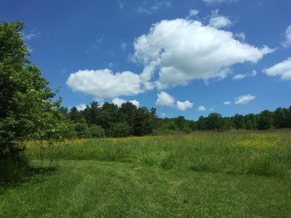 Valuable Mineral Property | eBay