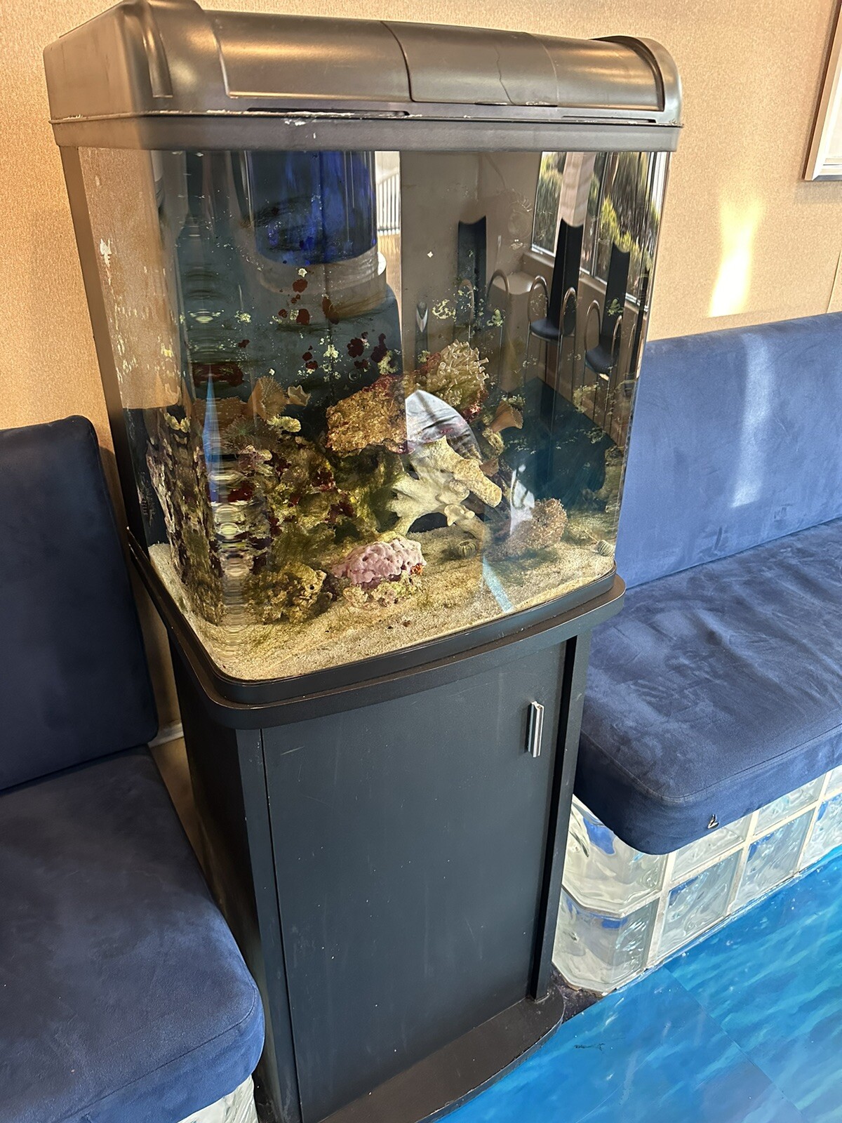 16 Gallon Biocube Aquarium - Full Tank Setup - All in One | eBay