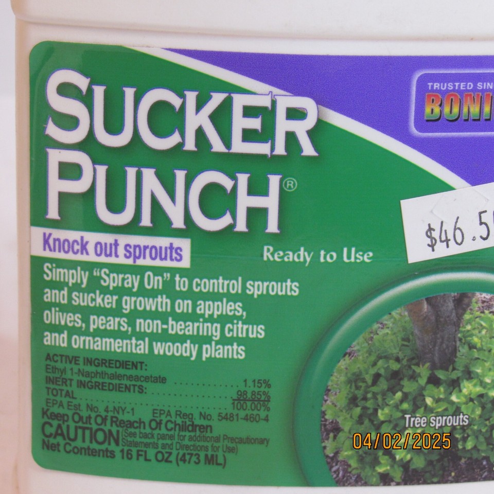 Sucker Punch, Stop Suckers Sprouting from Roots 16oz EPA Reg # 5481-460 ...