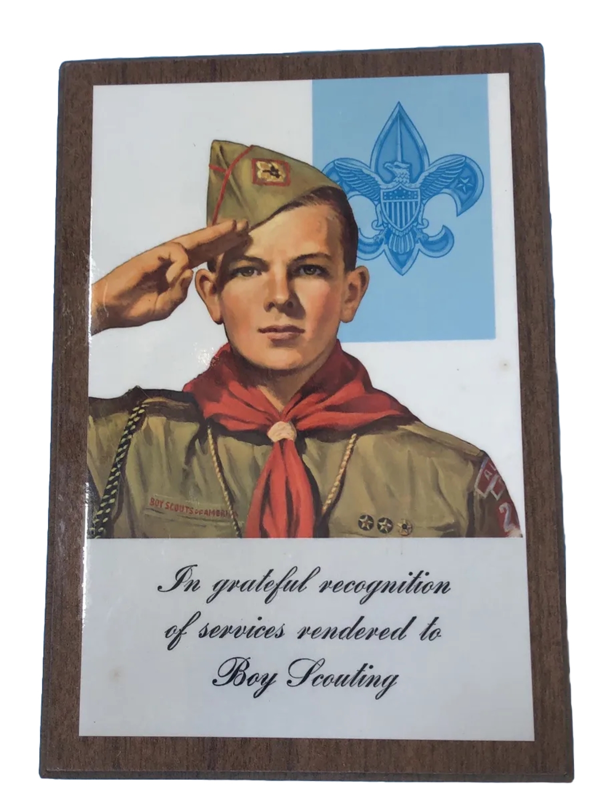 Boy Scout Plaque "In grateful recognition of services rendered to Boy ...
