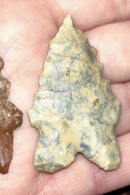 authentic arrowheads pre 1600 Awesome Deep South LeCroy Dalton Point | eBay