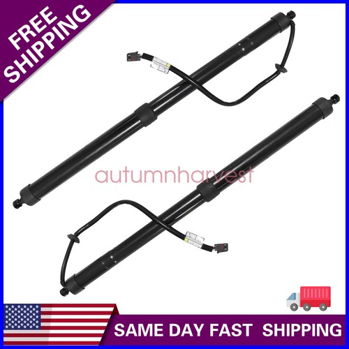 For 2017-2019 Nissan Pathfinder Rear Power Hatch Lift Support LH=RH Set ...