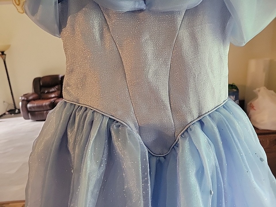 CHASING FIREFLIES Disney Princess Cinderella Costume Size 14 Blue ...