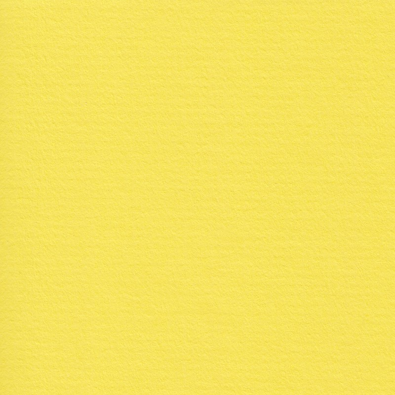 ArtToFrames Custom Yellow Canary Picture Photo Frame Mat Matting Board ...