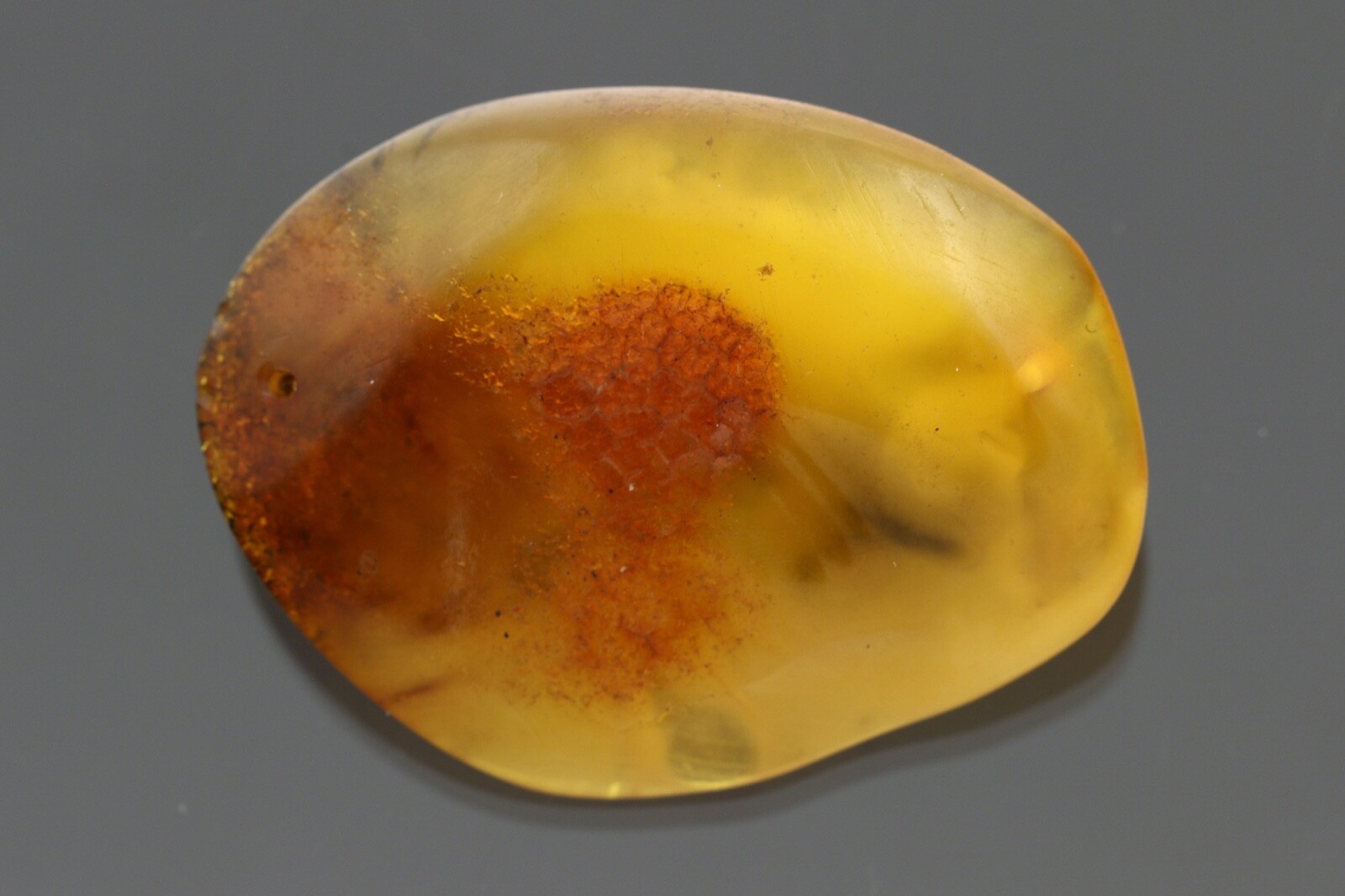 VINTAGE ANTIQUE Genuine BALTIC AMBER Egg Yolk Honey B… - Gem