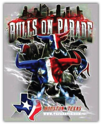 Houston Texans NFL Football Logo Sport Car Bumper Sticker Decal "SIZES ...