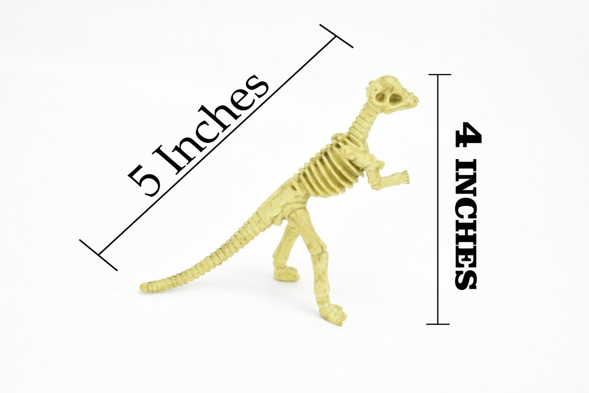 Micropachycephalosaurus Dinosaur