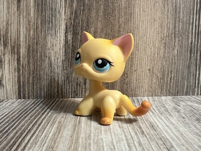 Hasbro Littlest Pet Shop (LPS) #339 “Brooke” Short Hair Cat RARE ...