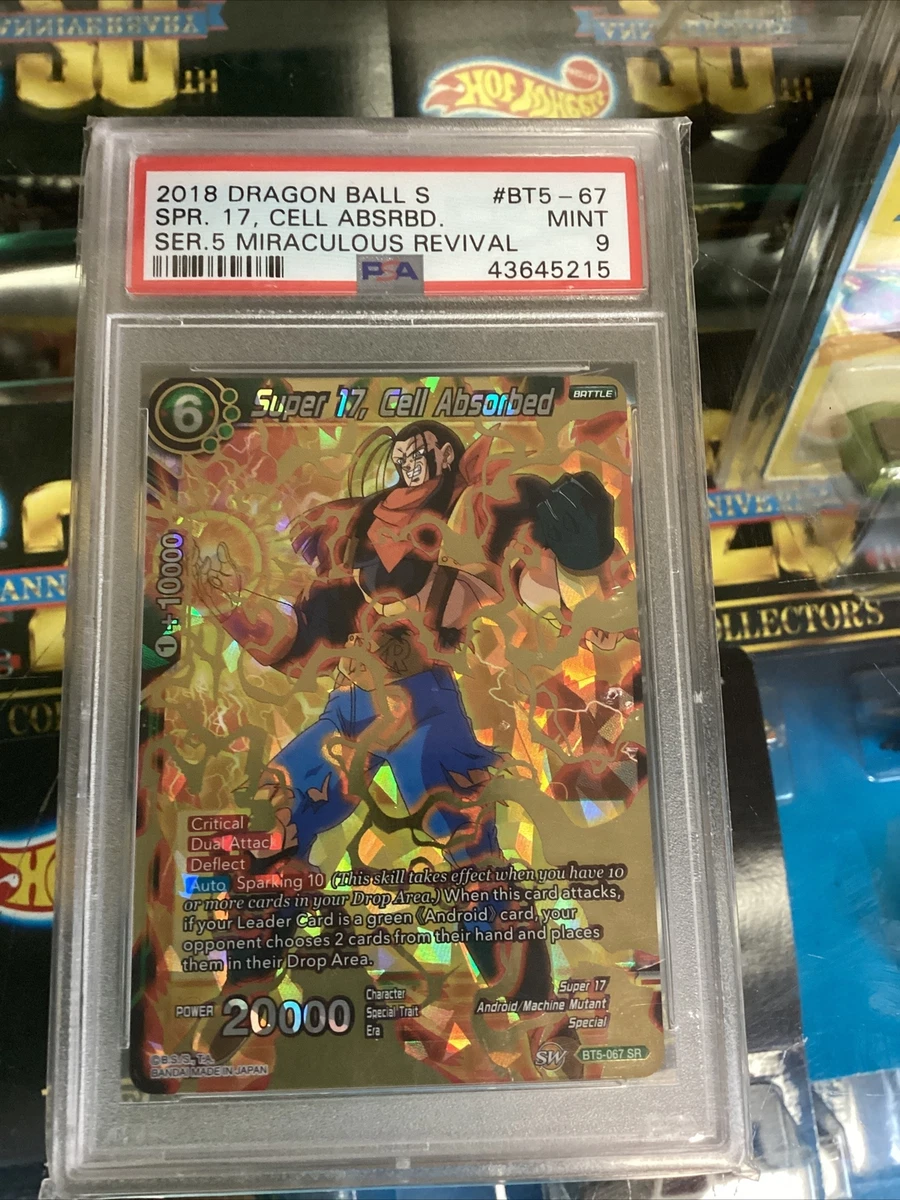 Super 17 Cell Absorbed