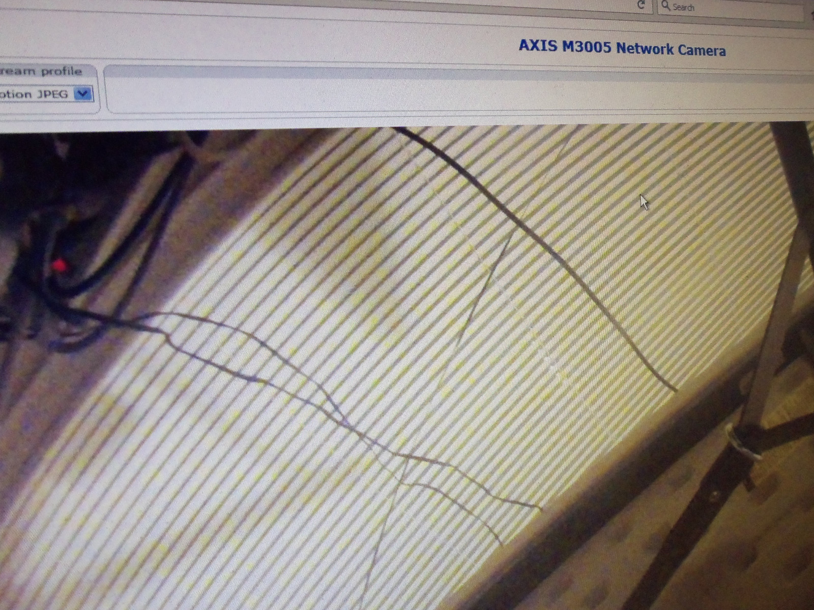 Axis M3005-V IP Network Security Surveillance Web Color Cam Camera | eBay