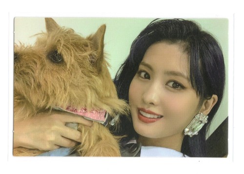 Twice Momo & Boo Photocard | Eyes Wide Open - Dog | eBay