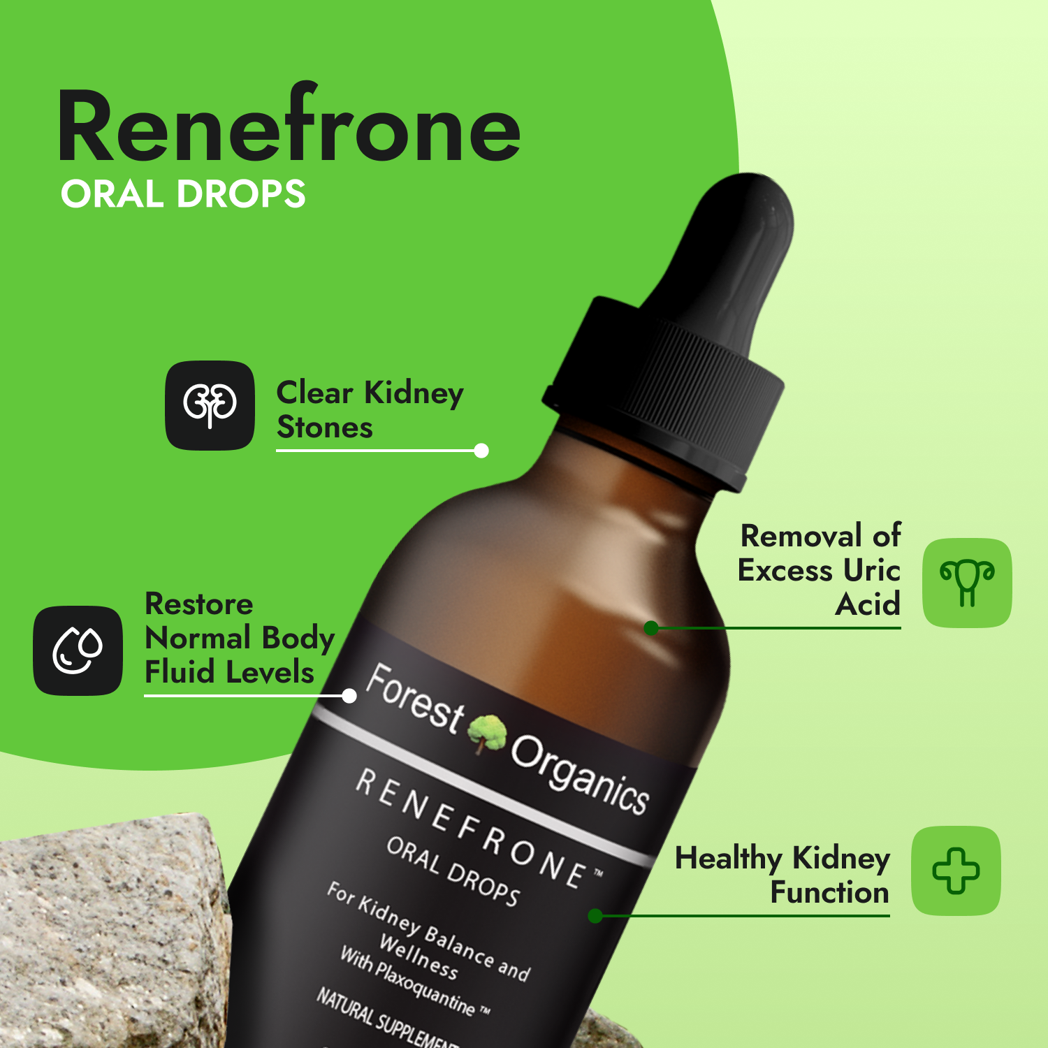 Kidney Health Support Supplement Kidney Detox Drops & Support Kidney ...