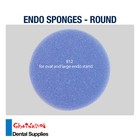 Dental Endo Round Sponges Files holders Replacement foam Large 250pcs ...