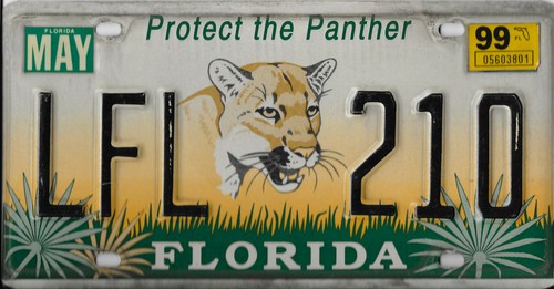 FLORIDA PROTECT THE PANTHER LICENSE PLATE 99 STICKER (LFL 210) | eBay