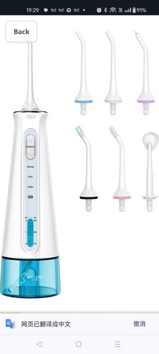 BESTOPE Cordless Water Dental Flosser Dental Oral Irrigator Portable ...