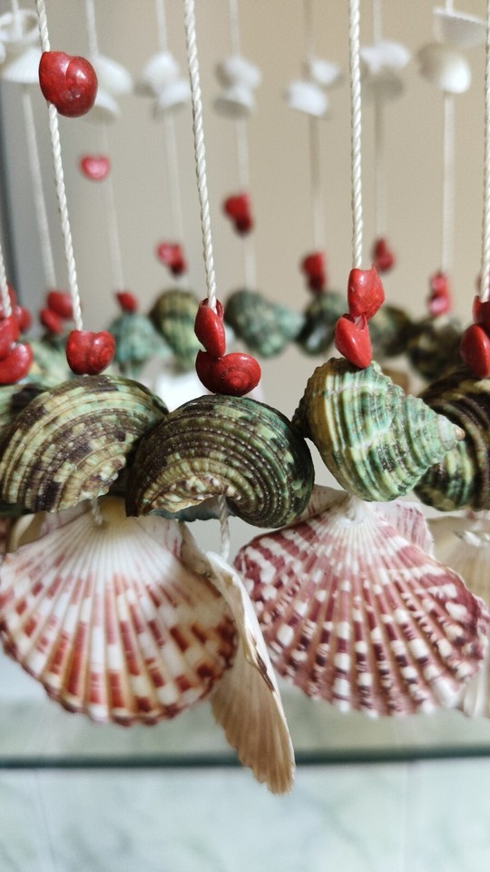 Beautiful Seashells Coconut Shell Hanging Spiral Dangling Windchimes ...