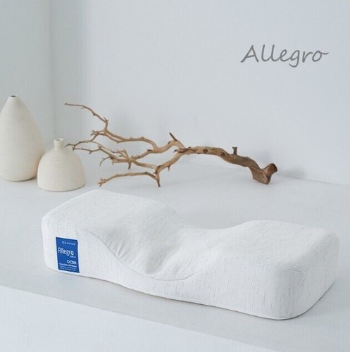 Kanuda Blue Label Allegro Set of 2 / Memory Foam cervical functional ...