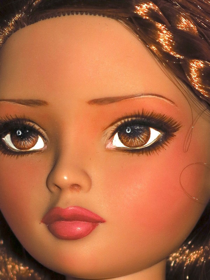 Tonner - Ellowyne Wilde 16" Fashion Doll - Repaint | eBay