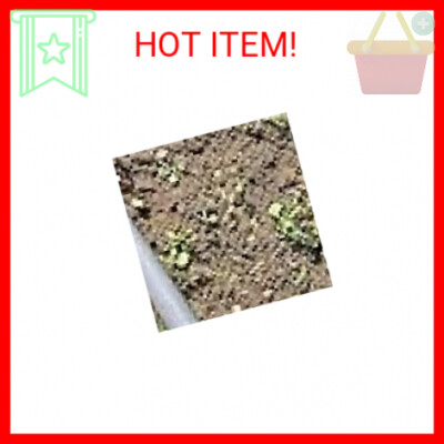 Walensee Mini Action Hoe for Weeding Stirrup Hoe Tools for Garden Hula ...