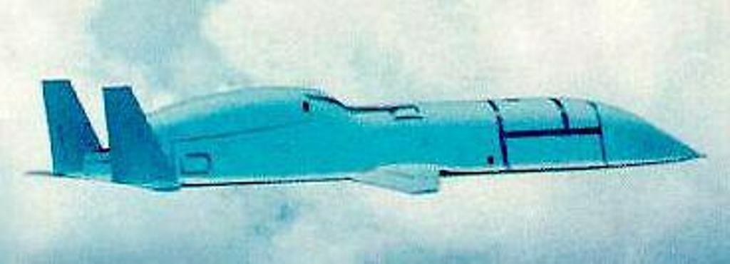 Model-324 SCARAB Northrop UAV Airplane Desk Wood Model Big New | eBay