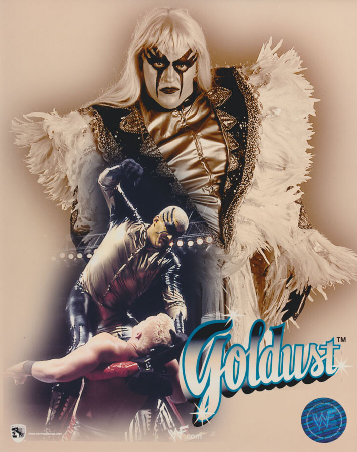 Gold Dust Wrestler Costume