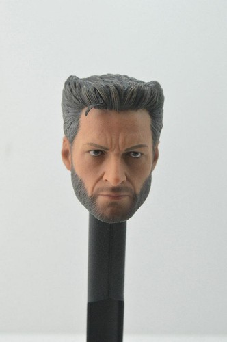 Custom 1/6 Scale Hugh Jackman Wolverine X-Men Head Sculpt for 12 ...