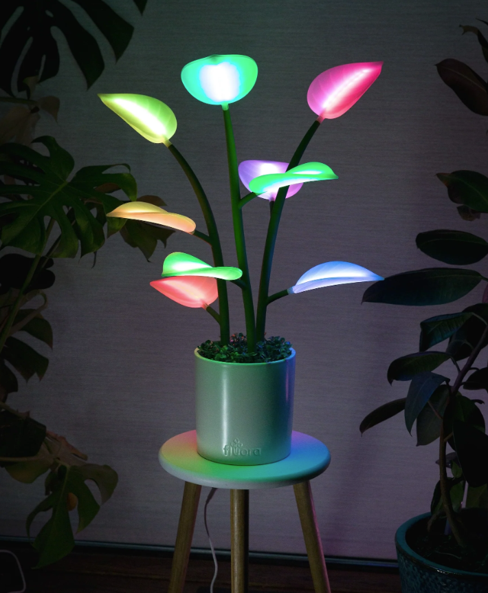 Fluora Mini LED Plant Lamp Houseplant Smart Light Color & Light RGB App ...
