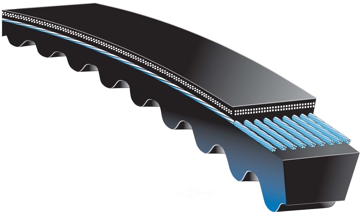 Accessory Drive Belt-Narrow Section Molded Notch V-Belt fits 2000 C2045 ...