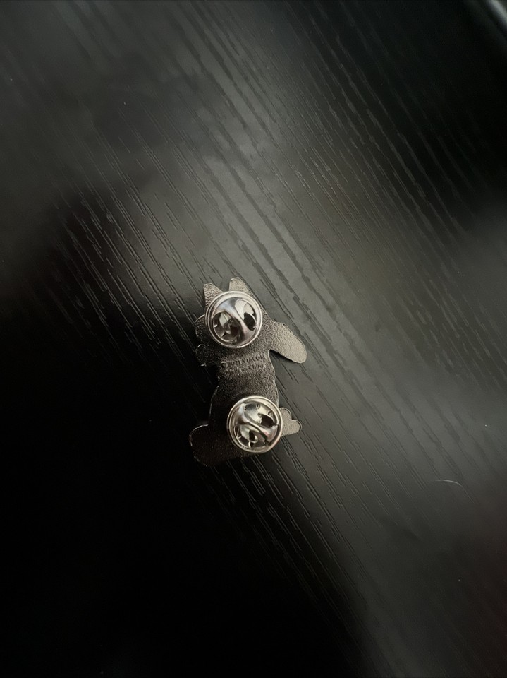 Spunky Rocko's Modern Life Enamel Pin | eBay