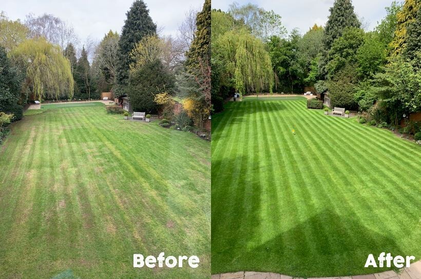 Grass Seed Hard & Fast Growing Cold Weather UK Area 200g 400g 1KG 2KG ...