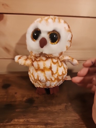 Ty Swoops Barn Owl Small Beanie Boos Plush Toy with Sparkle Eyes 2014 ...