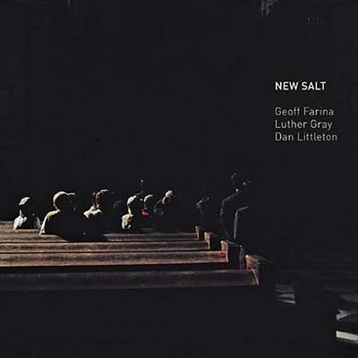 GEOFF FARINA, LUTHER GRAY, DAN LITTLETON New Salt Music CDs New ...