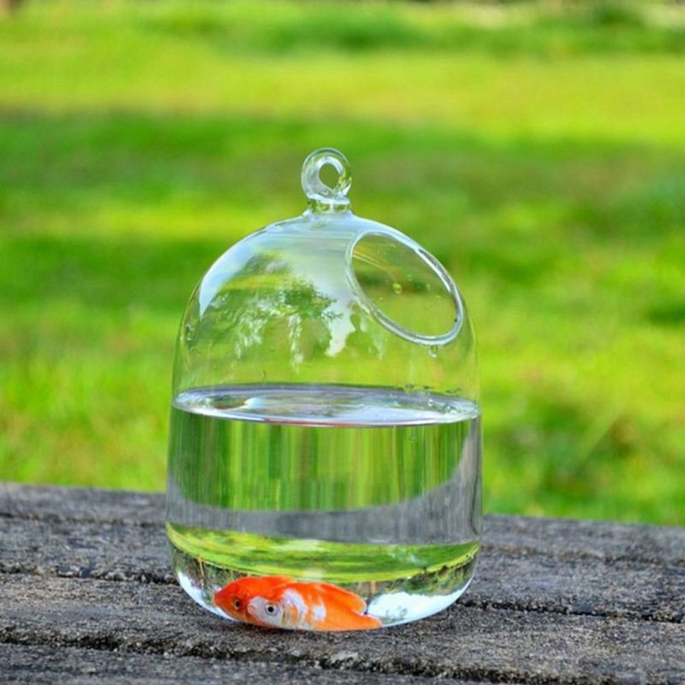 Vase Wall Hanging Fish Bowl Fish Tank Vase Ornament Hanging Glass Fish ...