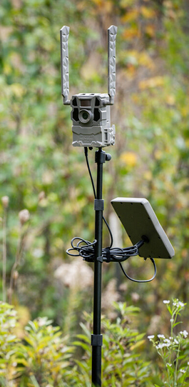 TACTACAM Adjustable Camera Stake | eBay