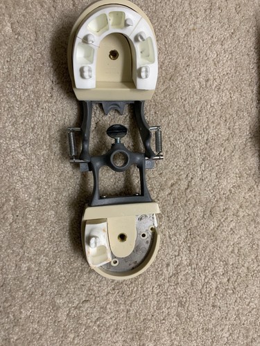 Columbia Dentoform Typodont Sectional Endodontic Kit/SED Kit | eBay