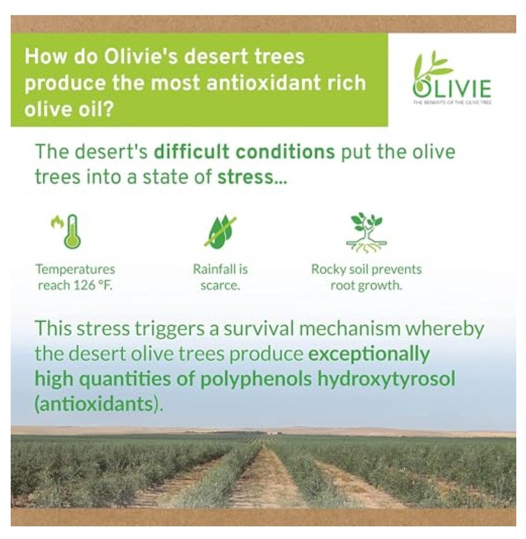 3 X Organic Olive Oil High Polyphenol 250ml Extra Virgin OLIVIE PLUS ...