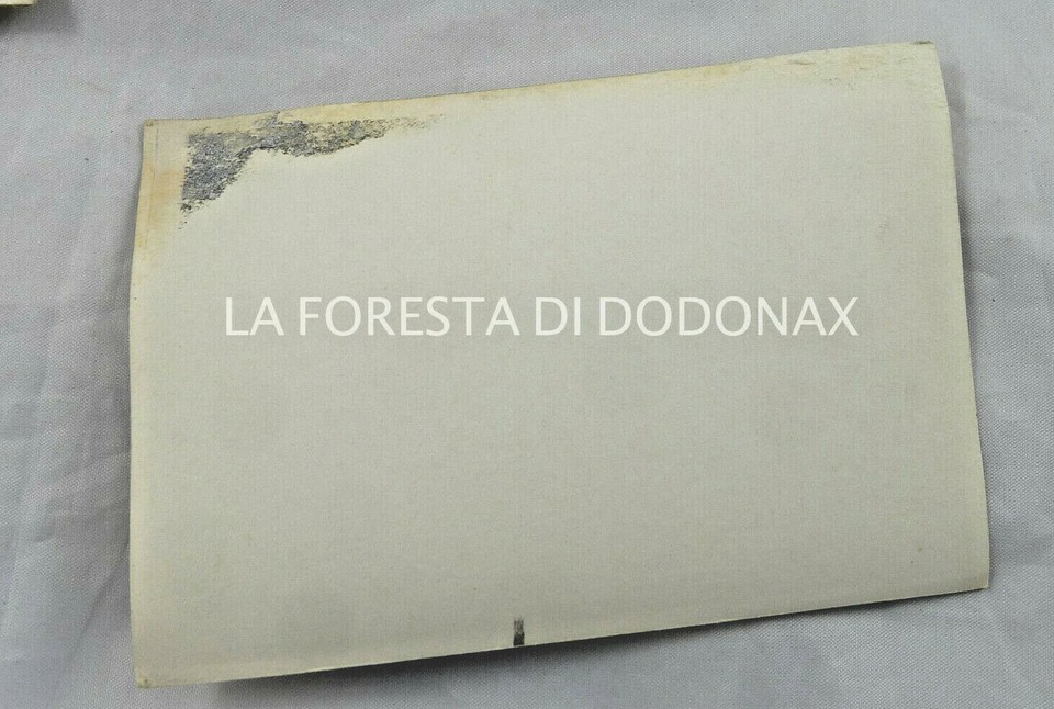 PHOTO VINTAGE FUNNY ODD BIZARRE STRANGE HUMOR WEIRD CAKE BAKERY PASTRY ...