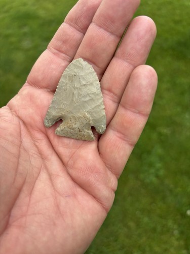 Pinetree Arrowhead | eBay