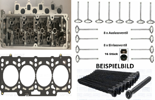Vw T6 Zylinderkopf Probleme