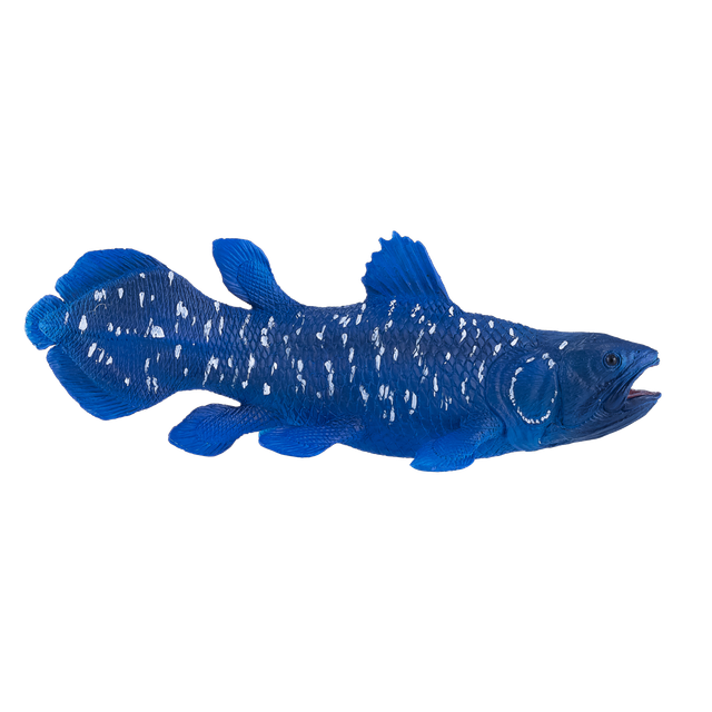 Mojo Sealife Coelacanth Toy Figure 3 Years And Above Blue 381050 for ...