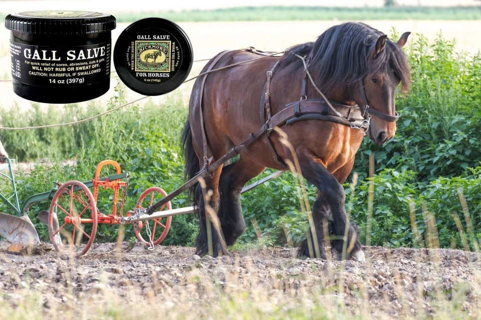 Gall Salve Wound Cream For Horses 14oz - Quick Equine of Sores ...