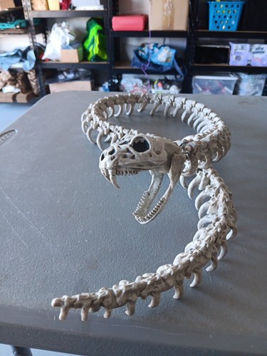 Skeleton Snake 44" Long Posable Jointed Life Size Halloween Decor Prop ...