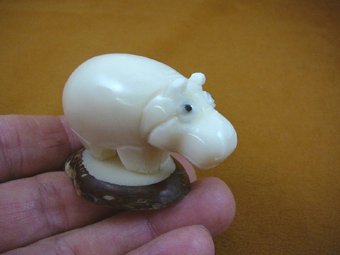 (TNE-HIP-83-C) Hippo Hippopotamus TAGUA NUT Figurine palm I love hippos ...