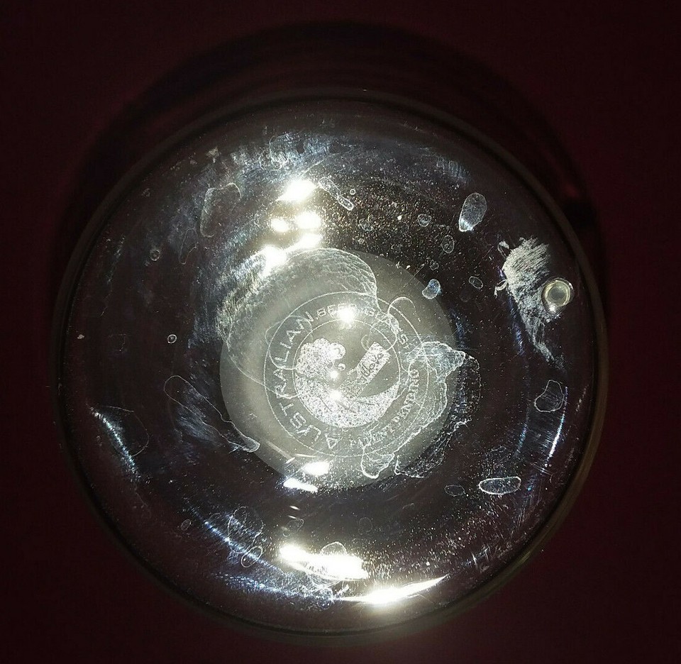 Highwave Australian Beer Inverted Frosted Bottle Clear Double Wall ...