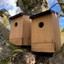 Bird Nest Box Wood Wooden Nesting Boxes Wild Birdhouse Straw Robin ...