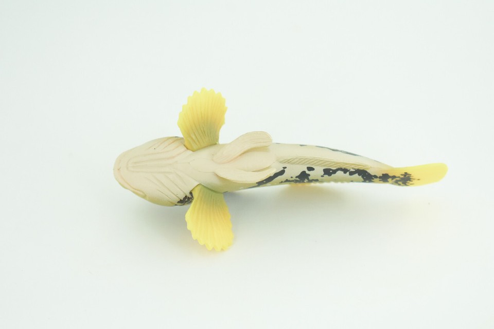 Lingcod Fish Toy, Realistic Hand Painted Rubber Fish Cod, Model 4.5 ...