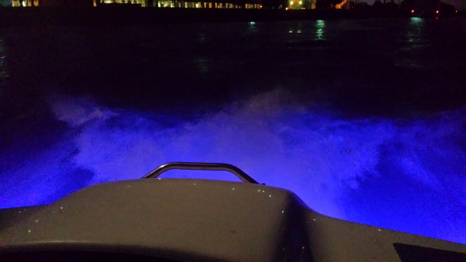 LED BOAT DRAIN PLUG LIGHT BTY 1200 LUMEN UNDERWATER LED LIGHT LED BOAT ...